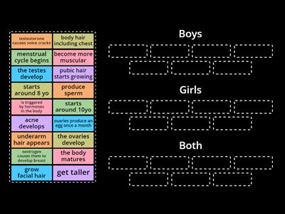 Puberty - Teaching resources