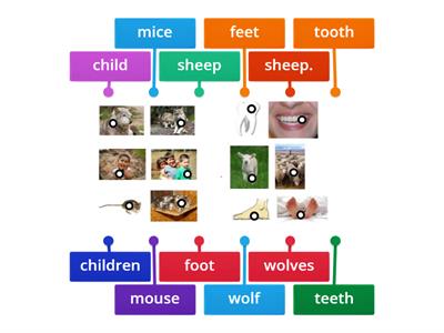 Plurals - Teaching resources