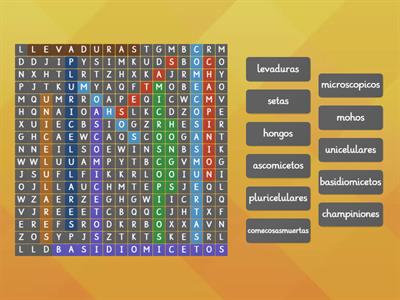 Hongos - Recursos didácticos