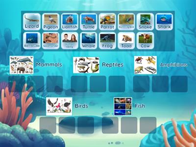 Vertebrates - Teaching resources