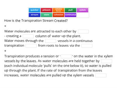 Transpiration - Teaching resources