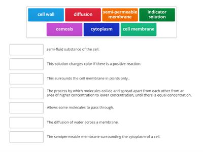 Diffusion - Teaching resources