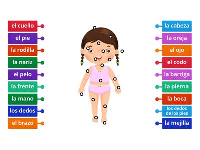 Partes del cuerpo flashcards - Materiały dydaktyczne