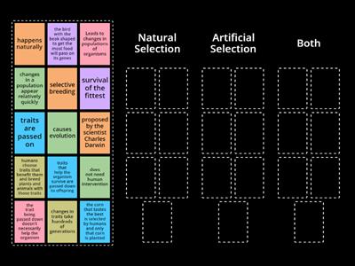 Natural vs artificial selection - Teaching resources