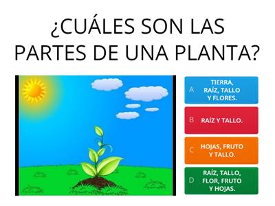 Partes de las plantas y sus funciones - Recursos didácticos