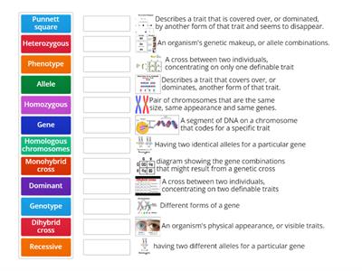 Mendelian inheritance - Teaching resources