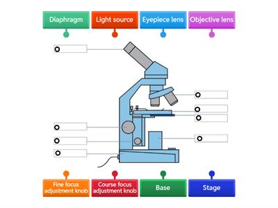 Microscope - Teaching resources