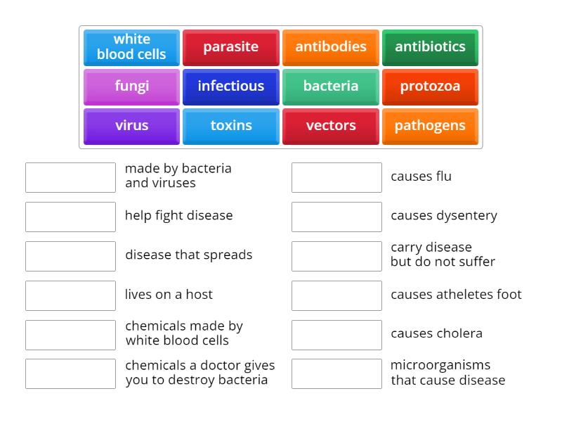 disease - Match up