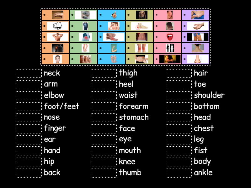 Parts of the body - Match up