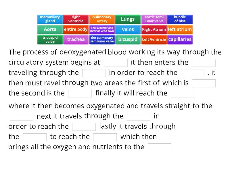 circulation - Complete the sentence