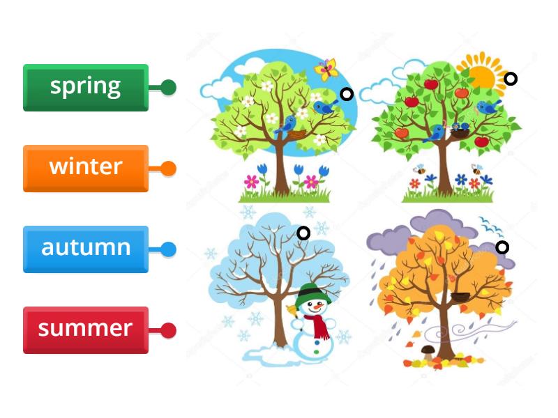 Seasons of the year (Without listening) - Labelled diagram