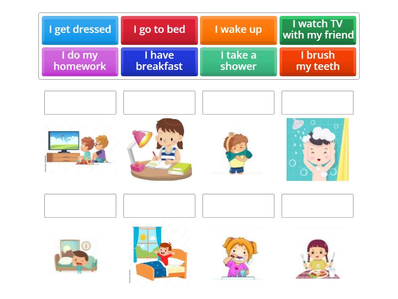 Daily routine - Match up