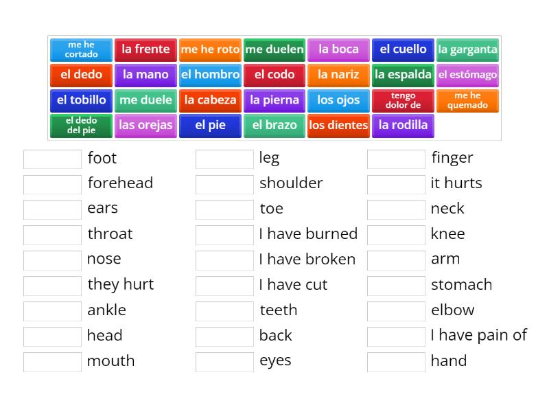 Y9 Spanish - Body parts and injuries - Match up