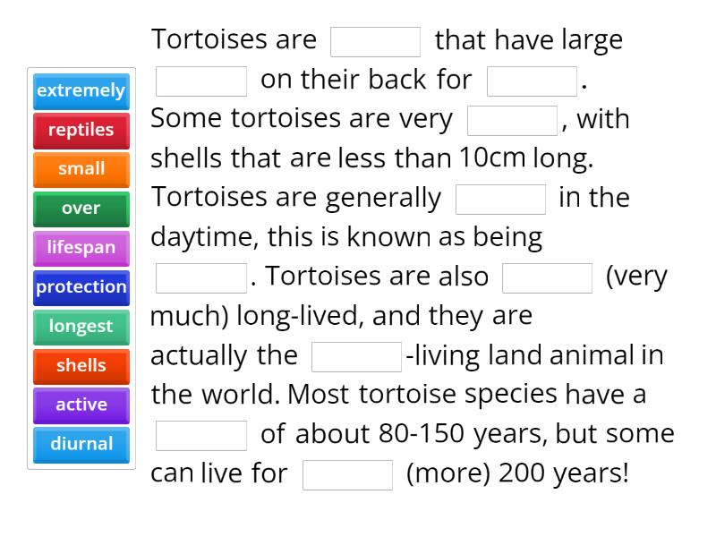 Tortoises - Complete the sentence