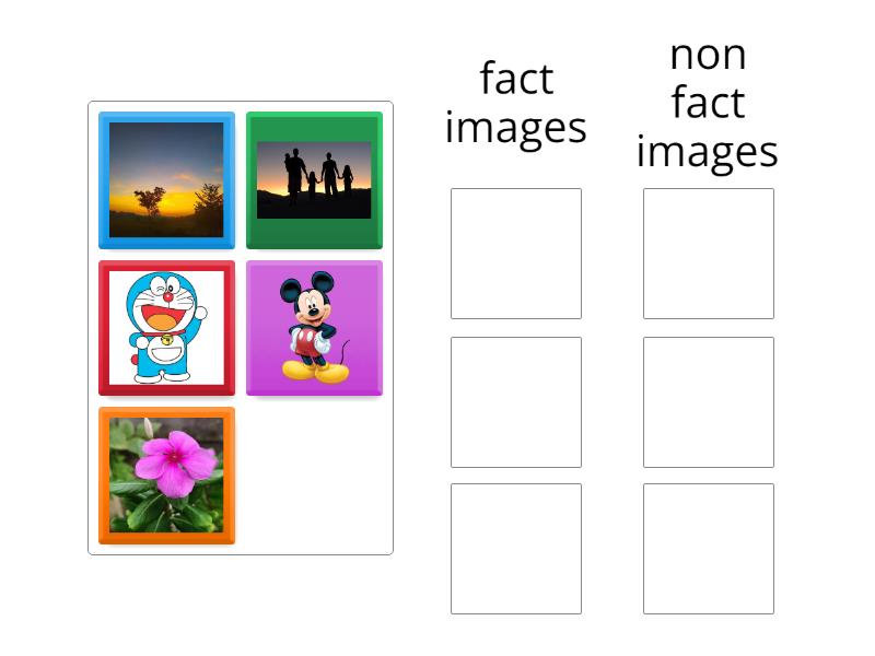 seperate the fact or non fact images - Group sort