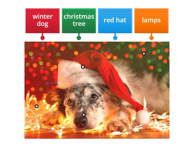 christmas dog - Rysunek z opisami