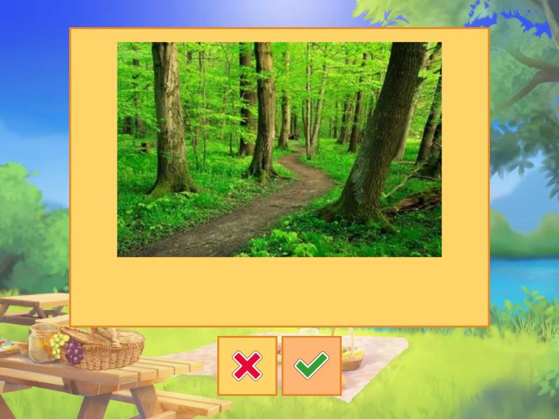 Countryside - Flash cards