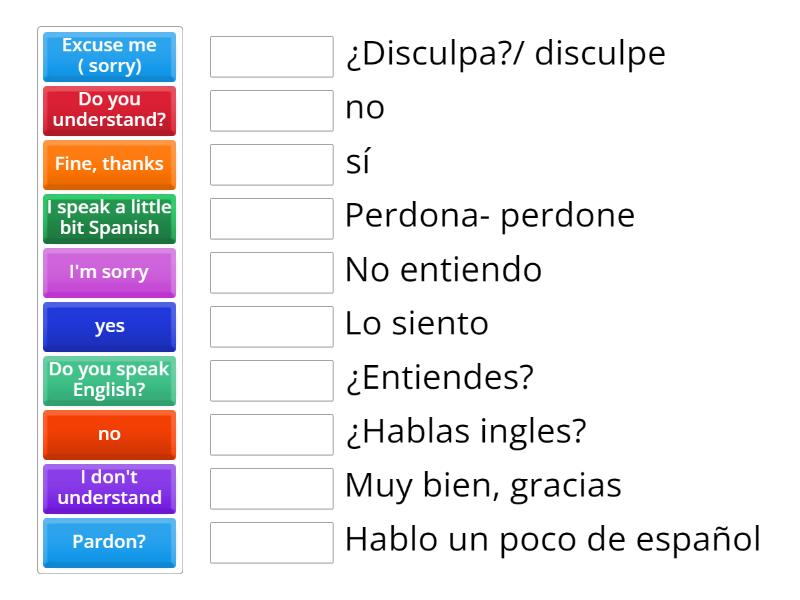 vocabulario basico saludos y conversaciones - Match up