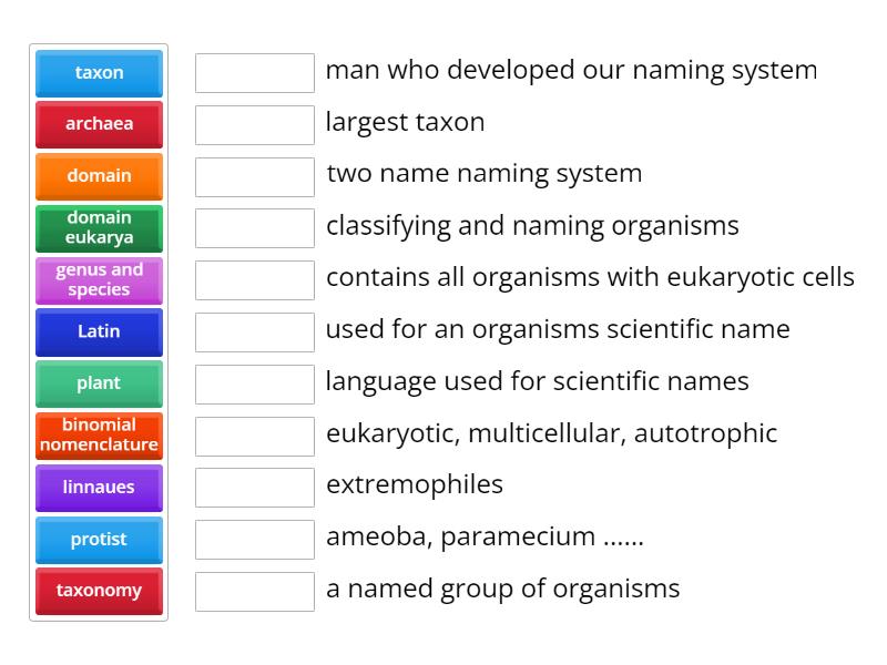 Classification Matching - Match up