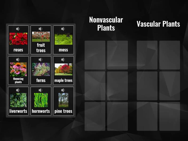 Vascular and Nonvascular Sort - Group sort