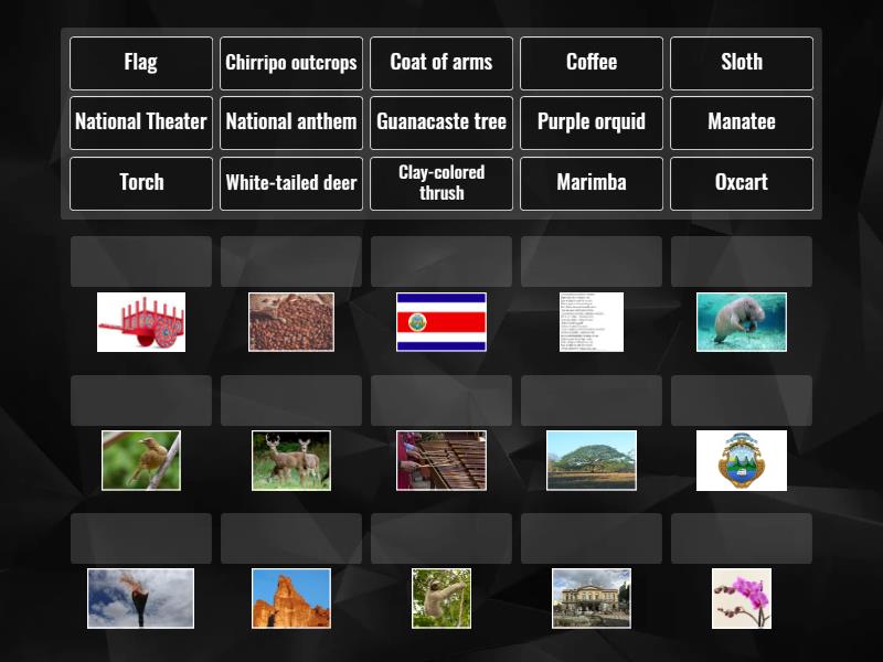 National symbols of Costa Rica - Match up