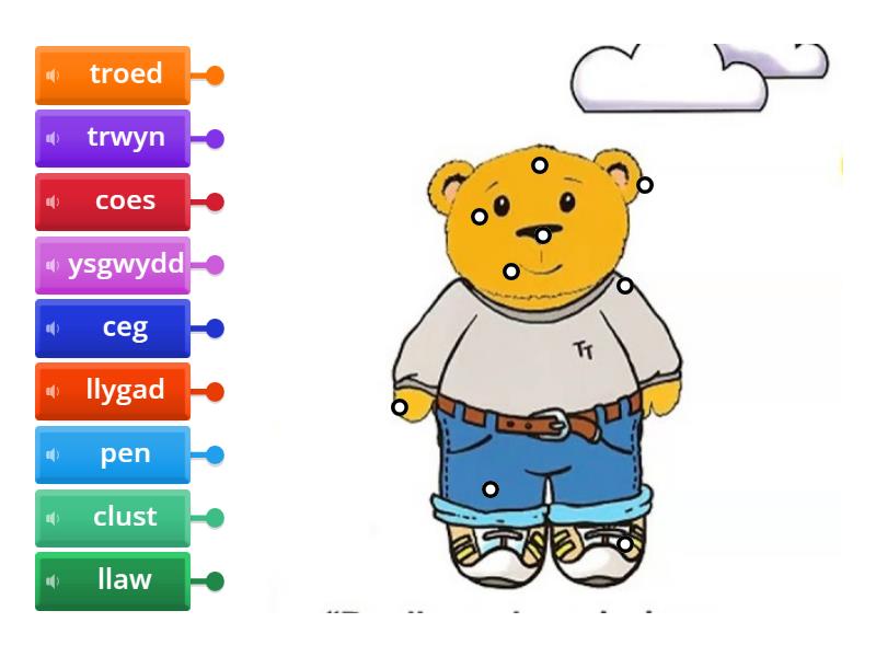 Ble mae ... Tedi Twt? - Diagrama con etiquetas