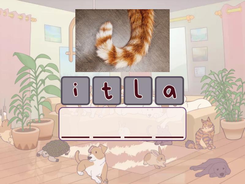 Team together 1. Unit 5. Lesson 3 - Anagram