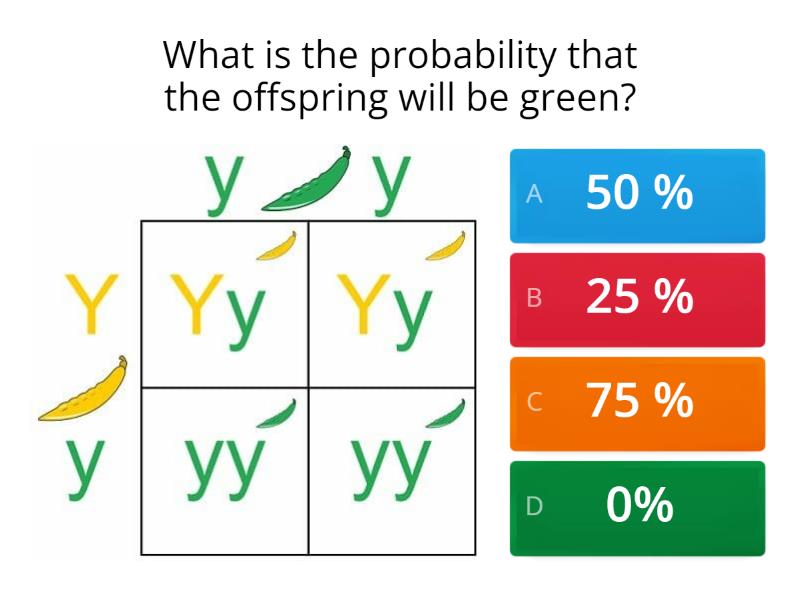 Punnett Square Practice Questions - Quiz