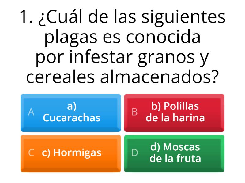Control de plagas - Quiz