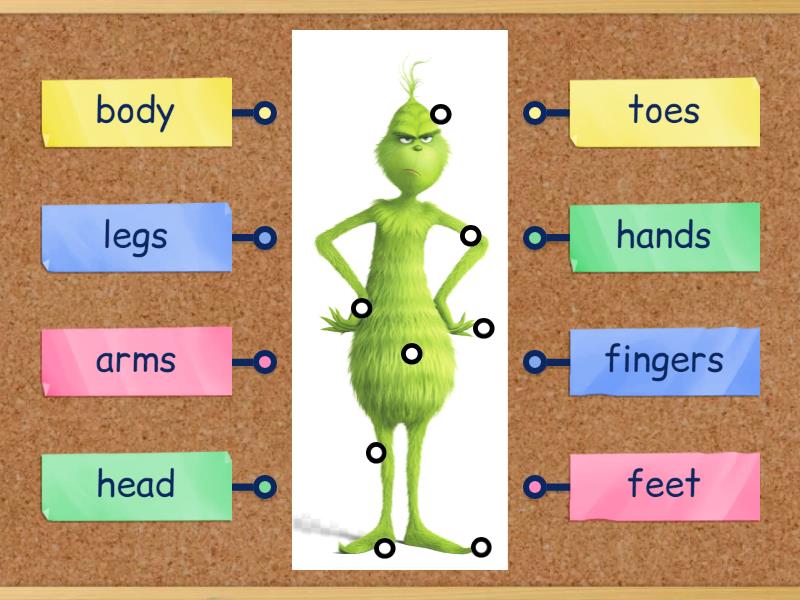 Matching Grinch Parts of the body - Labelled diagram