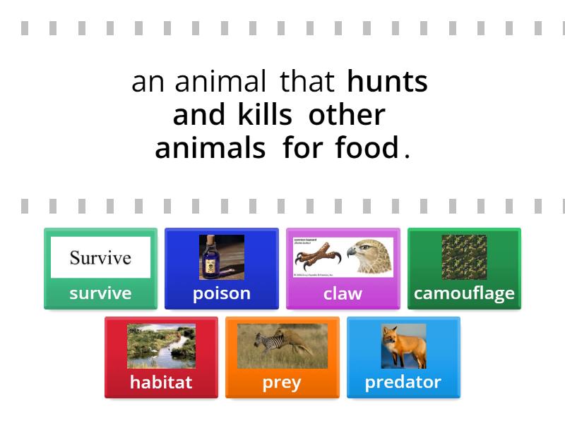 Ms. Lam - 2A6 Predator and Prey_Vocabulary - Find the match
