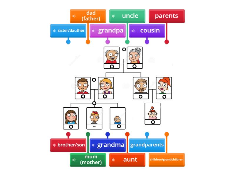 label the family members IE1 unit 2 - Labelled diagram