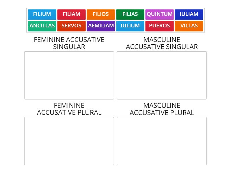 ACCUSATIVE ENDINGS REVIEW - Categorize