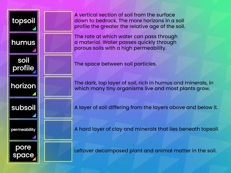 Chapter 6 Lesson 4 - Une las parejas