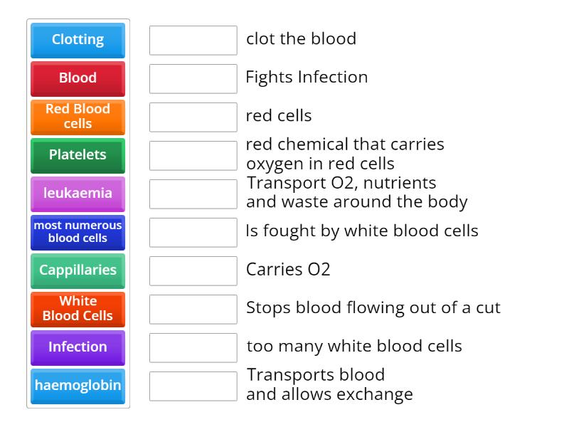 Blood cells and functions - Match up