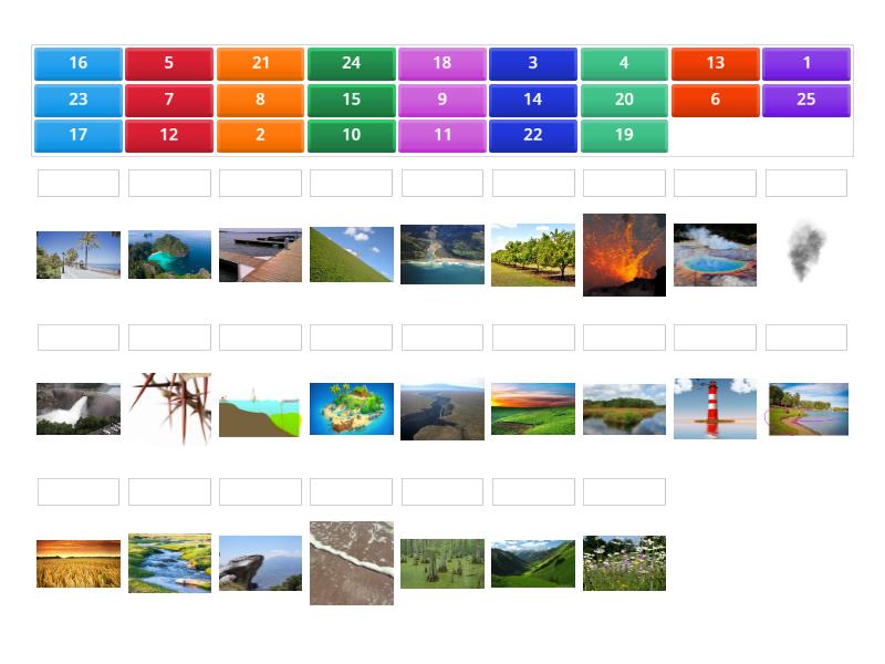 Nature ai Song B2+, C1 - Match up