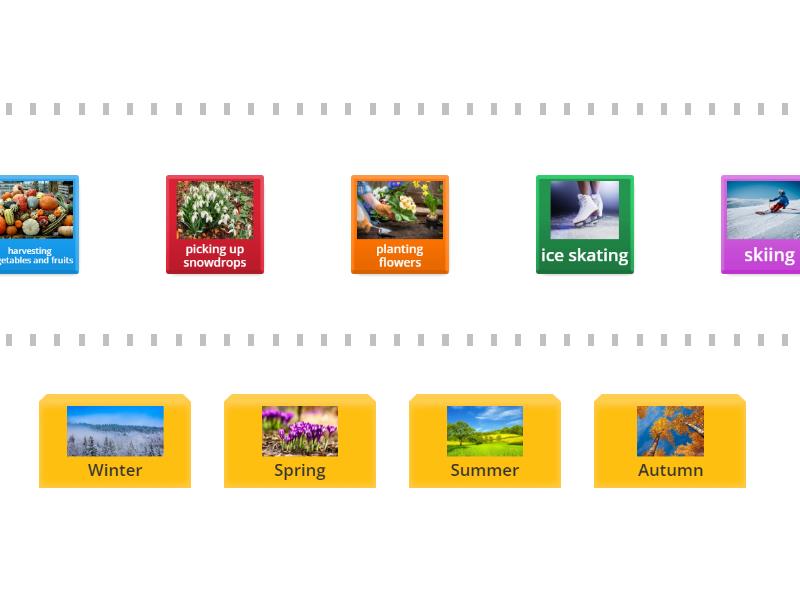 4 seasons activities - - Speed sorting