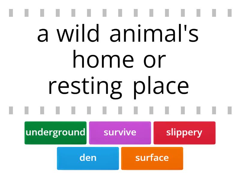 Unit 5 Week 3 - Find the match