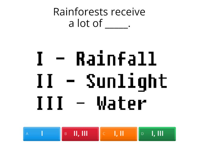 Rainforest - Quiz