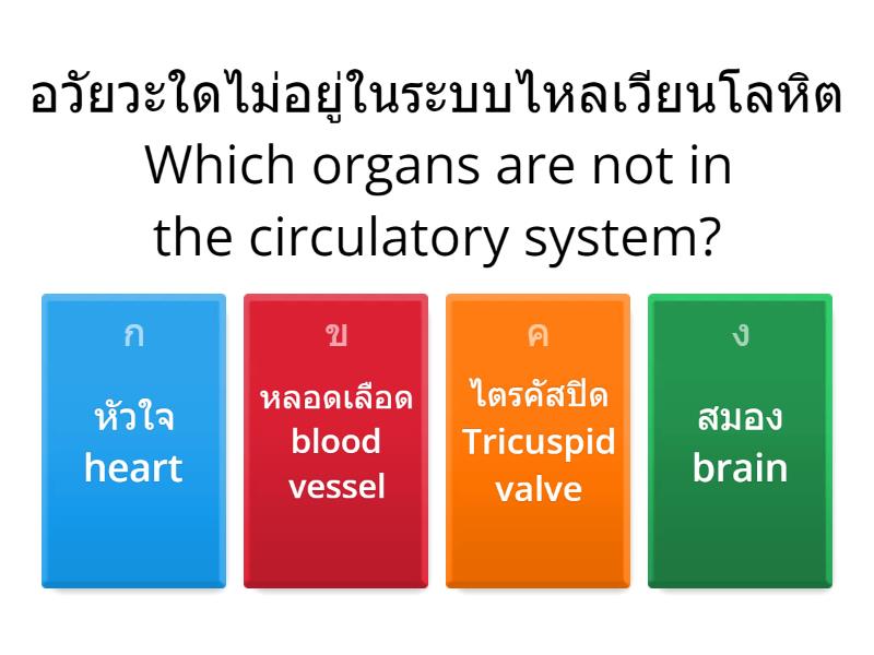 Circulatory System - Quiz