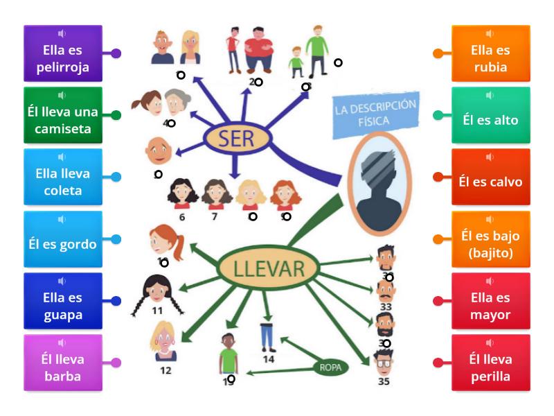 Ser y llevar con descripciones - Diagrama con etiquetas