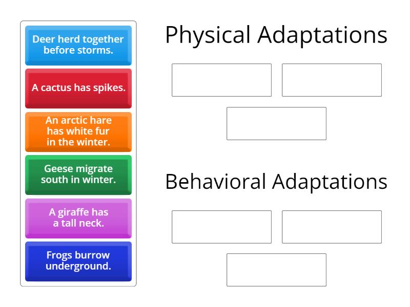 Chap 12 Structural and Behavioral Adaptations - Group sort