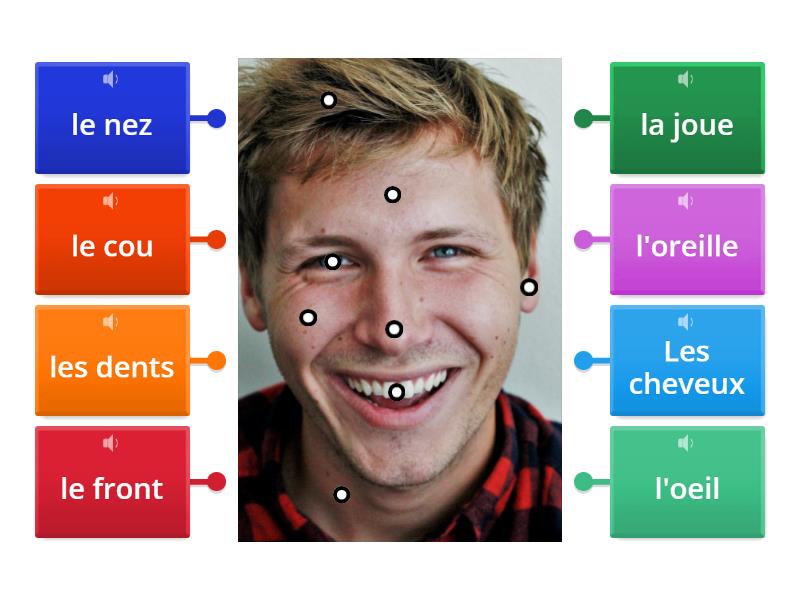 parties du visage - Labelled diagram