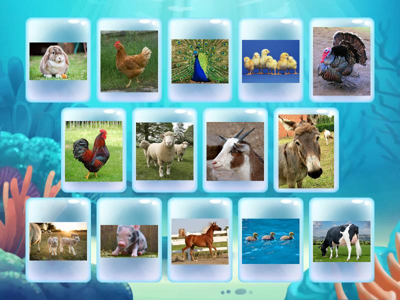 Farm animals- - Flip tiles