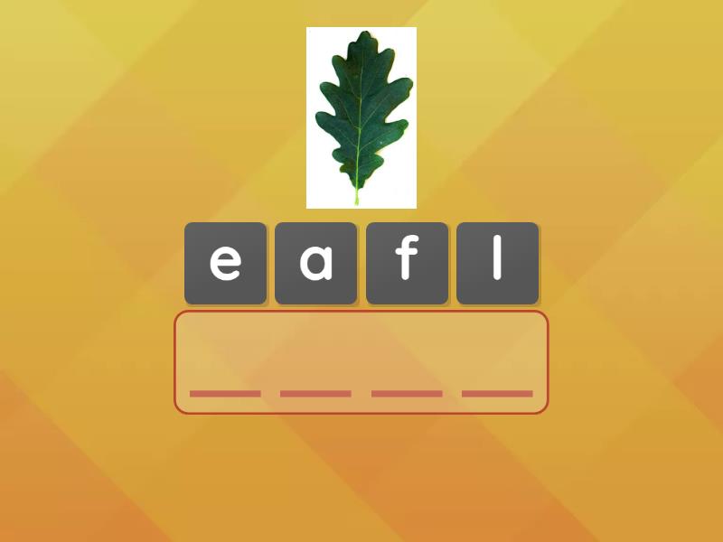 Explore Together 1 - Unit 3 - Anagram