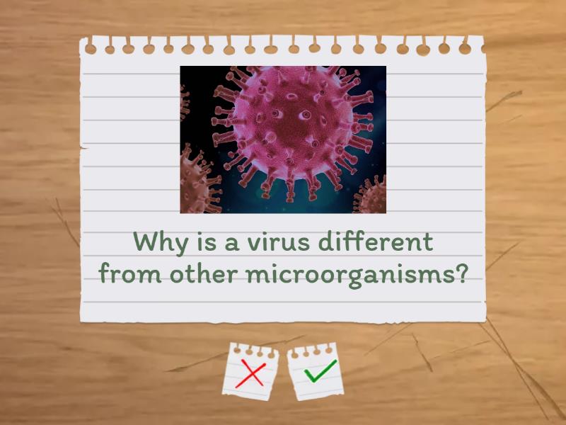 Revision of Microorganisms - Flash cards