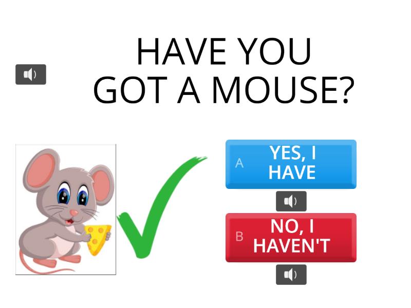 HAVE GOT - questions - Quiz