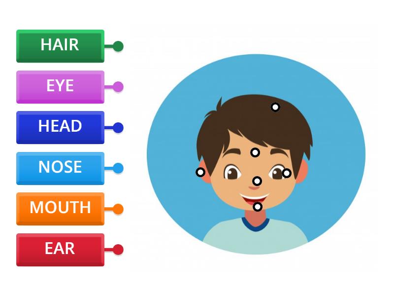 Parts of the face match - Labelled diagram