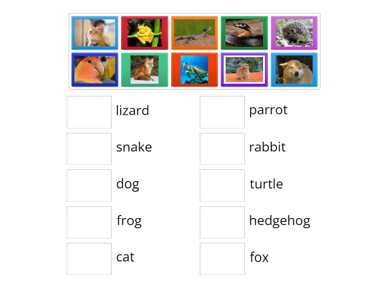 Find an animal. - Match up