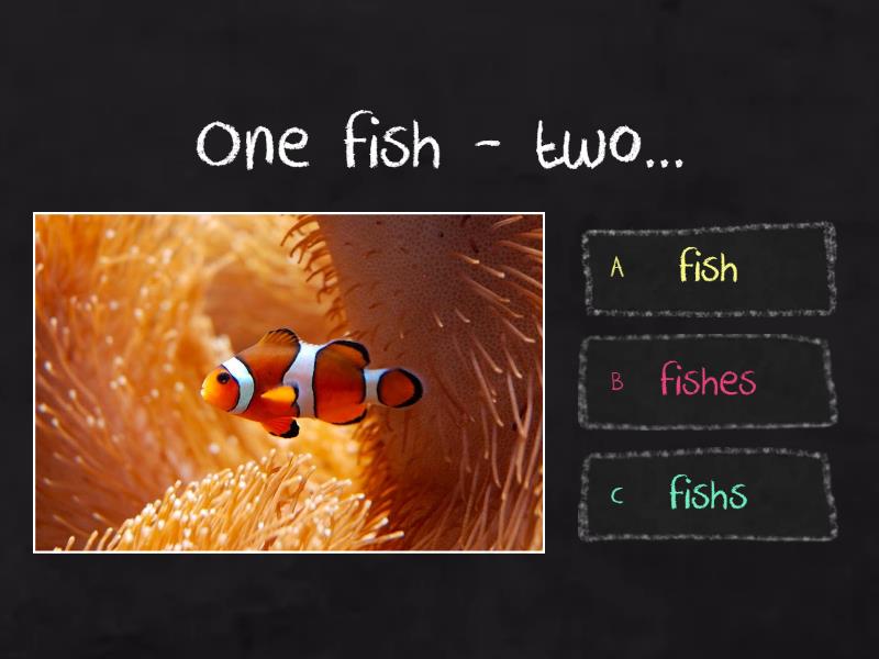 Animals (plural) - Quiz